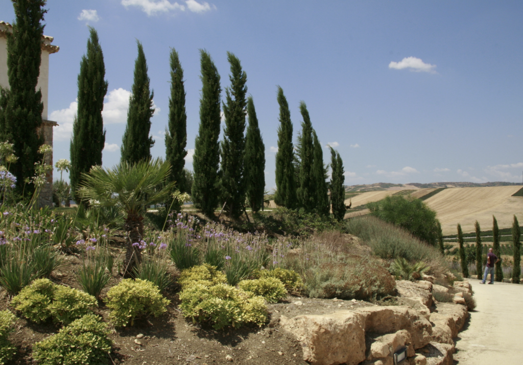 Next TREAD Training School in Sicily - TREAD